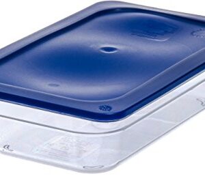 Carlisle FoodService Products Plastic Food Pan 1/4 Size 2.5 Inches Deep Clear