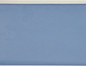 Carlisle FoodService Products CM1102C1402 Coldmaster CoolCheck 6" Deep Third-Size Insulated Food Pan, 4 Quart, Color Changing, White and Blue