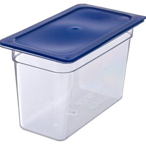 Carlisle FoodService Products Plastic Food Pan 1/3 Size 8 Inches Deep Clear