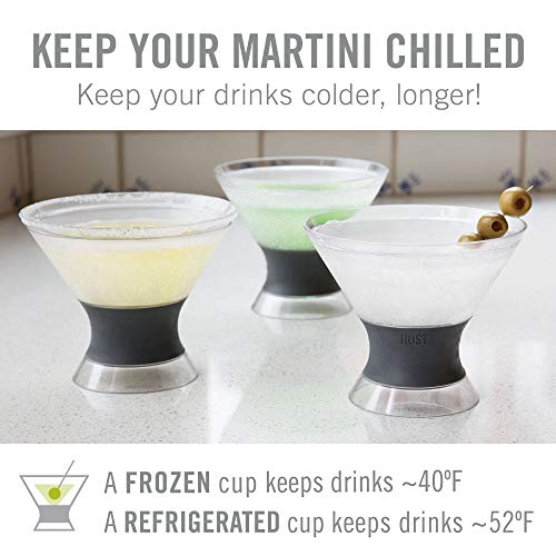 HOST Freeze Insulated Martini Cooling Cups, Plastic Freezer Gel Chiller Double Wall Stemless Cocktail Glass Set of 2, 9 oz, Grey