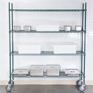 Commercial Epoxy Wire Shelving 24 x 48 - NSF (2 Shelves)