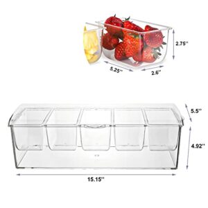 IVYHOME Chilled Condiment Server | Clear Icy Condiment Bar | Chilled Condiment Tray with Lid and 5 Removable Compartments