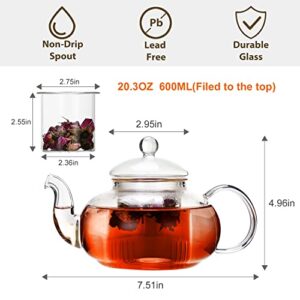 CNGLASS Glass Teapot Stovetop Safe,Clear Teapot with Removable Infuser 20.3 oz,Loose Leaf and Blooming Tea Maker