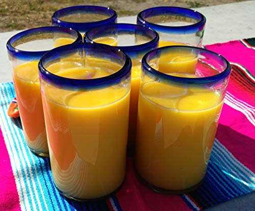 Hand Blown Mexican Drinking Glasses - Set of 6 Glasses with Cobalt Blue Rims (14 oz each)