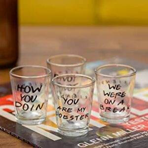 Silver Buffalo Friends Iconic Quotes Only 4 Pack Mini Glasses, 1.5 Ounces