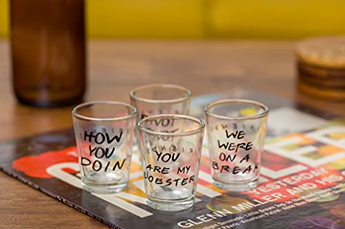 Silver Buffalo Friends Iconic Quotes Only 4 Pack Mini Glasses, 1.5 Ounces