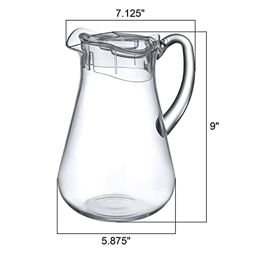 Amazing Abby - Droply - Acrylic Pitcher (64 oz), Clear Plastic Water Pitcher with Lid, Fridge Jug, BPA-Free, Shatter-Proof, Great for Iced Tea, Sangria, Lemonade, Juice, Milk, and More