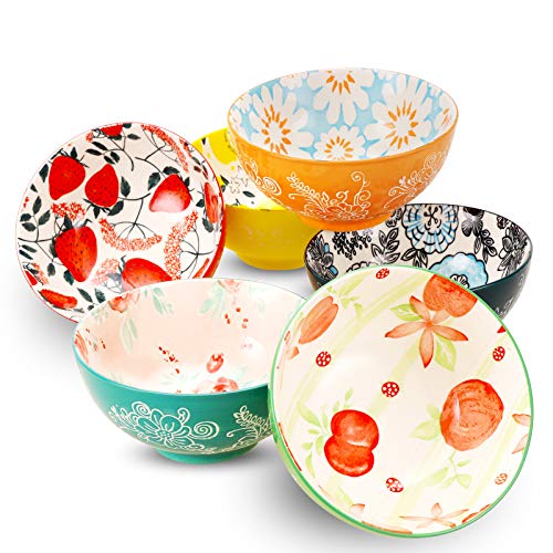 DeeCoo Porcelain Bowls Set (18-Ounce, 6-Piece) - for Cereal, Soup, Salad, Pasta, Fruit, Ice Cream Bowls Service - Microwave and Dishwasher Safe, Assorted Designs