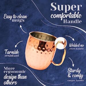 Kitchen Science Moscow Mule Mugs, Stainless Steel Lined Copper Moscow Mule Cups Set of 6 (18oz) | Stainless Steel Mug w/New Thumb Rest | Tarnish-Resistant Steel Interior (2 - Set of 6)