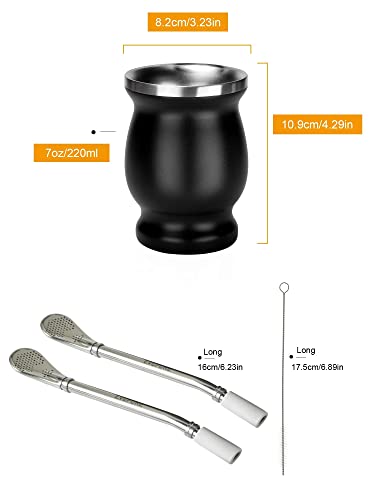 Evepure Yerba Mate Gourd Cup- Mate Gourd and Bombilla Set - Silicone Straw Tips for Yerba Mate Bombillas - Midnight Black