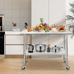 HOCCOT Stainless Steel Prep & Work Table with Adjustable Shelf, with Wheels, Kitchen Island, Commercial Workstations, Utility Table in Kitchen Garage Laundry Room Outdoor BBQ, 24" X 48"