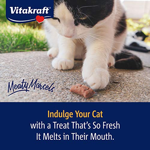 Vitakraft Meaty Morsels Soft Indulgent Cat Treats - Double Layer Extra Meaty - Can Use as Cat Pill Pocket (Chicken with Salmon, 4-Pack)