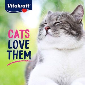 Vitakraft Meaty Morsels Soft Indulgent Cat Treats - Double Layer Extra Meaty - Can Use as Cat Pill Pocket (Chicken with Salmon, 4-Pack)