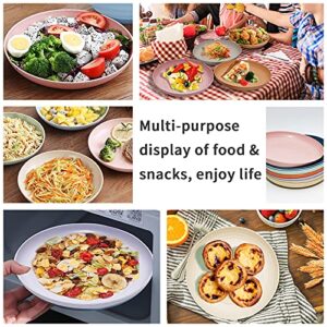 DAPIPIK 8 Pieces 10 Inch Wheat Straw Plates, Unbreakable Dinner Plates, Lightweight Straw Plates, Dishwasher & Microwave Safe, Perfect for Dinner Dishes, Healthy for Kids & Adult