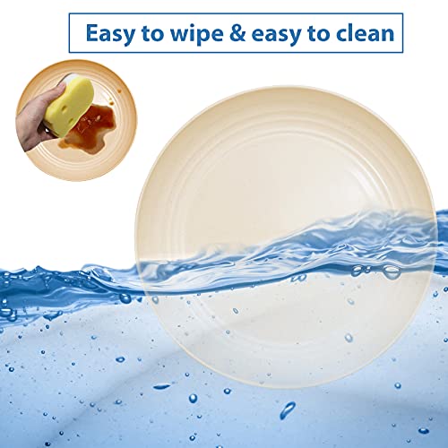 DAPIPIK 8 Pieces 10 Inch Wheat Straw Plates, Unbreakable Dinner Plates, Lightweight Straw Plates, Dishwasher & Microwave Safe, Perfect for Dinner Dishes, Healthy for Kids & Adult