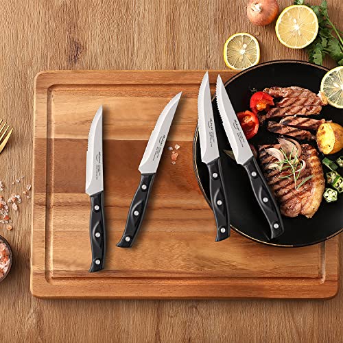 Mituer Steak Knives Steak Knife Set - Premium Stainless Steel Steak Knives set of 4