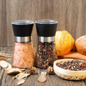 ErrandsHelper Salt and Pepper Grinder Set Spice Mill Refillable Grinders (2.5 inches x 5.1 inches)