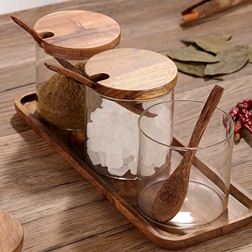 3 Pack 250ml / 8.5oz Clear Glass Seasoning Jar with Wooden Lid and Spoon, Adorable Sugar Bowl Bath Salt Storage Container, Kitchen Pepper