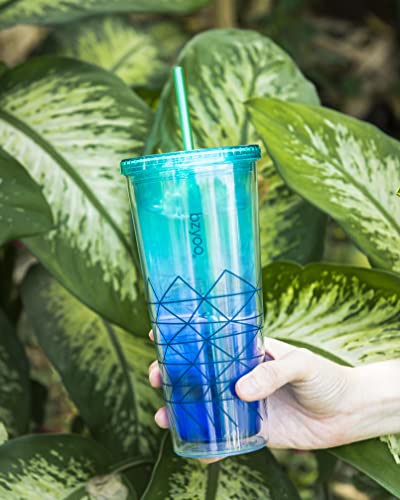 bzyoo SIP 24oz (710ml) Double Wall Plastic Tumbler with Lid and Straw Cold Drink Travel Mug Party Reusable Cup For Office Outdoor Dining Gift For Him & Her (Blue & Green)