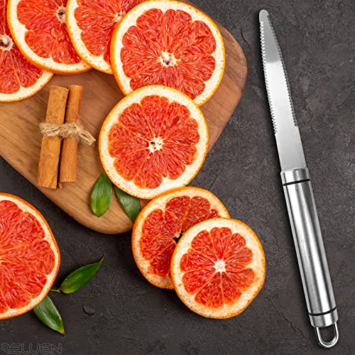 Reluen Stainless Steel Grapefruit Knife Curved Knife - Grapefruit Knife Curved Serrated Bread Knife Kitchen Knifes Small Knives Fruit Knife Stainless Steel Chef Kitchen Knife Curved Carving Tool