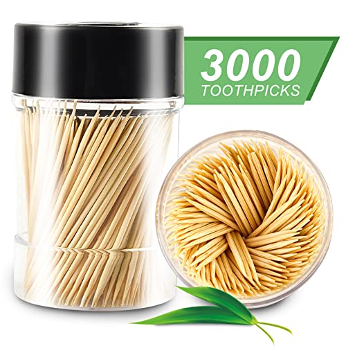 TRTRin [3000 Count 100% Natural Bamboo Toothpicks - With 1 Piece Reusable Toothpick Holder, Sturdy and Smooth Toothpicks for Parties, Appetizers, Olives, BBQ, Fruit and Teeth Cleaning, Black.