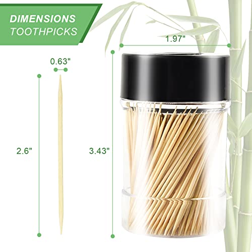 TRTRin [3000 Count 100% Natural Bamboo Toothpicks - With 1 Piece Reusable Toothpick Holder, Sturdy and Smooth Toothpicks for Parties, Appetizers, Olives, BBQ, Fruit and Teeth Cleaning, Black.