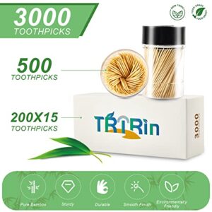 TRTRin [3000 Count 100% Natural Bamboo Toothpicks - With 1 Piece Reusable Toothpick Holder, Sturdy and Smooth Toothpicks for Parties, Appetizers, Olives, BBQ, Fruit and Teeth Cleaning, Black.