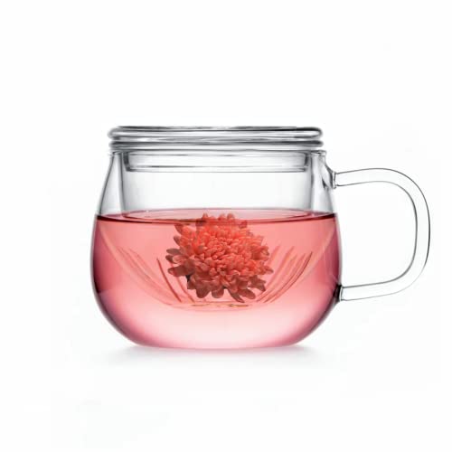 HOVOL Tea Mug with Infuser and Lid - 13.5oz Heat Resistant Borosilicate Glass, Clear Teacup with Strainer for Loose Leaf Tea, Blooming Tea, and Tea Bags - Ideal for Tea Lovers