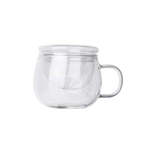 HOVOL Tea Mug with Infuser and Lid - 13.5oz Heat Resistant Borosilicate Glass, Clear Teacup with Strainer for Loose Leaf Tea, Blooming Tea, and Tea Bags - Ideal for Tea Lovers