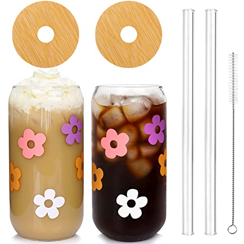 Glass Cups with Lids and Straws, Can Shaped Glass Cups, 20OZ Glass Cups, Drinking Glasses, Iced Coffee Glasses Cup, Smoothie Cups, Tumbler Glass, Reusable Boba Cup Drinking Glasses -Set of 2