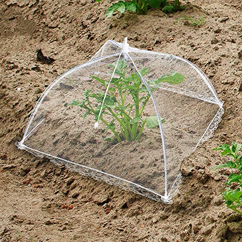 14"x14" Pop-Up Food Mesh Cover Umbrella Food Nets Screen,Reusable and Collapsible Outdoor Food Tents Protector for Parties Picnic BBQ (3 Pack)