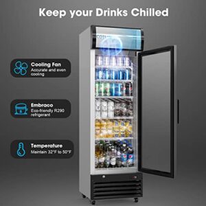 COTLIN Commercial Merchandiser Refrigerator with LED Lighting Single Glass Door, 9.0 Cu Ft Upright Display Beverage Cooler with Extra Shelves Drink Holders, ETL NSF Approved