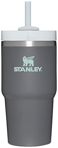 Stanley Quencher H2.0 FlowState Stainless Steel Vacuum Insulated Tumbler with Lid and Straw for Water, Iced Tea or Coffee, Smoothie and More, Charcoal, 20 oz