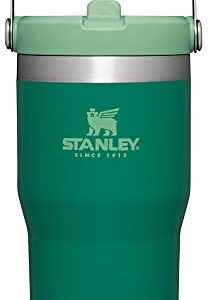 Stanley IceFlow Stainless Steel Tumbler with Straw - Vacuum Insulated Water Bottle for Home, Office or Car - Reusable Cup with Straw Leakproof Flip - Cold for 12 Hours or Iced for 2 Days (Alpine)