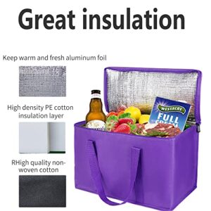 Insulated Reusable Grocery Bag,Insulated Food Delivery Bag, Durable, Heavy Duty, Large Size, Stands Upright, Collapsible, Sturdy Zipper, Reusable and Sustainable Tote Bag, Lightweight Medium Suitable for DIY, Advertising, Promotion, Gift, Activity