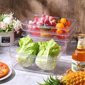 Hoolerry 12 Packs Plastic Food Pan 1/4 Size Commercial Food Storage Containers Pans Clear Stackable Restaurant Hotel Pans for Kitchen Fruits Vegetables Beans Corns (3.9 Inches Deep)