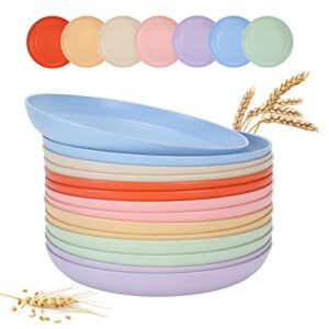 zongxing plastic plates reusable, 14 pack 9 inch wheat straw plates, lightweight unbreakable dinner plates set, healthy cereal dishes dishwasher & microwave safe