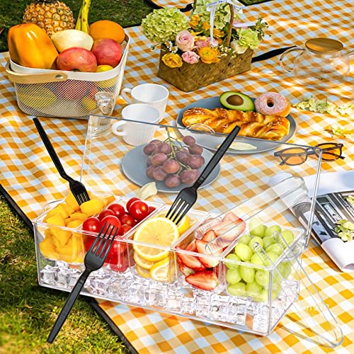 Laojbaba Chilled Condiment Server Clear Icy Condiment Bar Condiment Tray ice Party Serving bar with Lid Bar Garnish Holder on ice 5 Removable Compartments