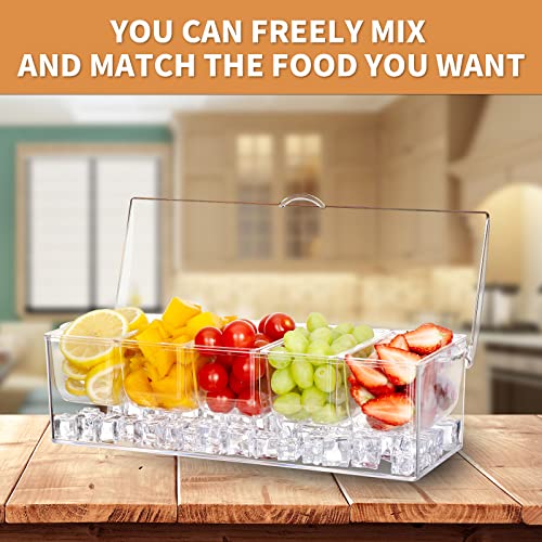 Laojbaba Chilled Condiment Server Clear Icy Condiment Bar Condiment Tray ice Party Serving bar with Lid Bar Garnish Holder on ice 5 Removable Compartments