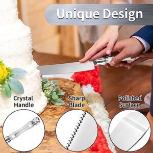 Cake Knife and Server Set - 2 Pcs Cake Cutting Set for Wedding with Stainless Steel Blades, Wedding Cake Knife with Acrylic Faux Crystal Handles, Perfect for Wedding Cake and Birthdays (Silver)