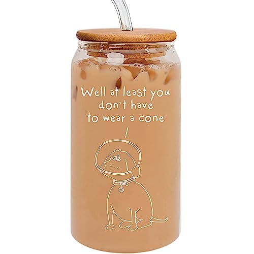 Break Up, Divorce Gifts For Women - Get Well Gifts For Women After Surgery, Feel Better Gifts - 16 Oz Coffee Iced Glass Cup With Bamboo Lid And Straws - At Least You Dont Have To Wear A Cone Can Glass