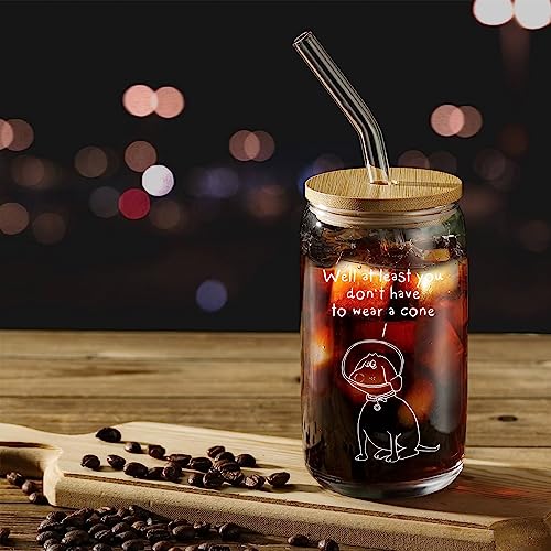 Break Up, Divorce Gifts For Women - Get Well Gifts For Women After Surgery, Feel Better Gifts - 16 Oz Coffee Iced Glass Cup With Bamboo Lid And Straws - At Least You Dont Have To Wear A Cone Can Glass