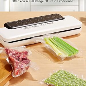 Syntus Vacuum Sealer Bags, 6 Pack + 100 Quart Size Commercial Grade Bags Rolls, Food Vac Bags for Storage, Meal Prep or Sous Vide