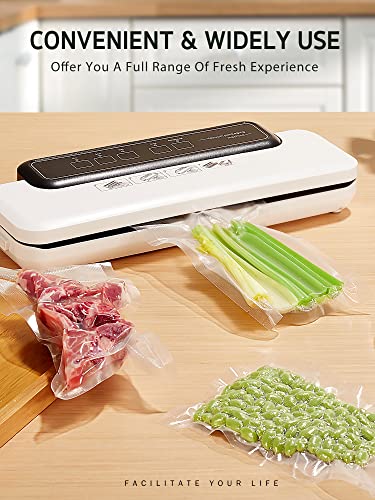 Syntus Vacuum Sealer Bags, 6 Pack + 100 Quart Size Commercial Grade Bags Rolls, Food Vac Bags for Storage, Meal Prep or Sous Vide