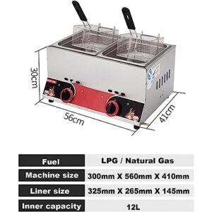 Commercial Gas Fryer, 22L Large Capacity Dual Fryer With Removable Baskets and Temperature Control, Stainless Steel LPG Countertop Gas Fryer, Chip Fryer for Catering Takeaway Restaurant Café