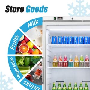 BLUELINETECH Display Refrigerator 18.6Cu.ft, 33-45℉, White, for Food and Beverage Refrigeration, for Commercial Kitchen, Home, Canteen, Restaurant