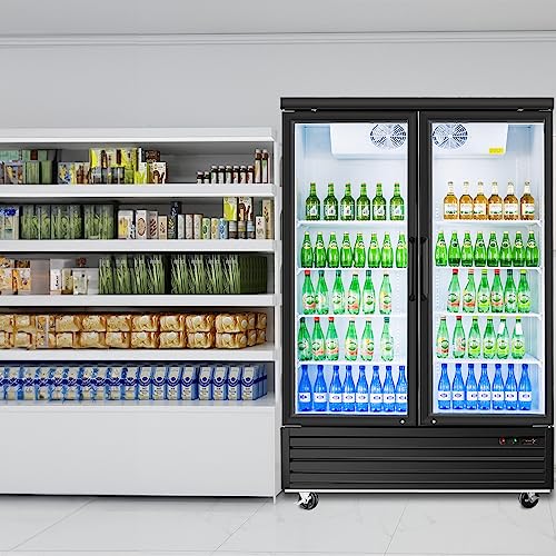 BLUELINETECH 56.4" W Display Refrigerator Double Glass Door, 35.7 Cu.ft Commercial Beverage Merchandiser Cooler Fan Cooling Reach-in Fridge with LED Lightning for Restaurant Bar Shop