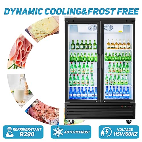 BLUELINETECH 56.4" W Display Refrigerator Double Glass Door, 35.7 Cu.ft Commercial Beverage Merchandiser Cooler Fan Cooling Reach-in Fridge with LED Lightning for Restaurant Bar Shop