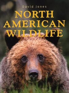 north american wildlife