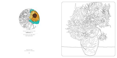 Vincent Van Gogh (Art Colouring Book): Make Your Own Art Masterpiece (Colouring Books)